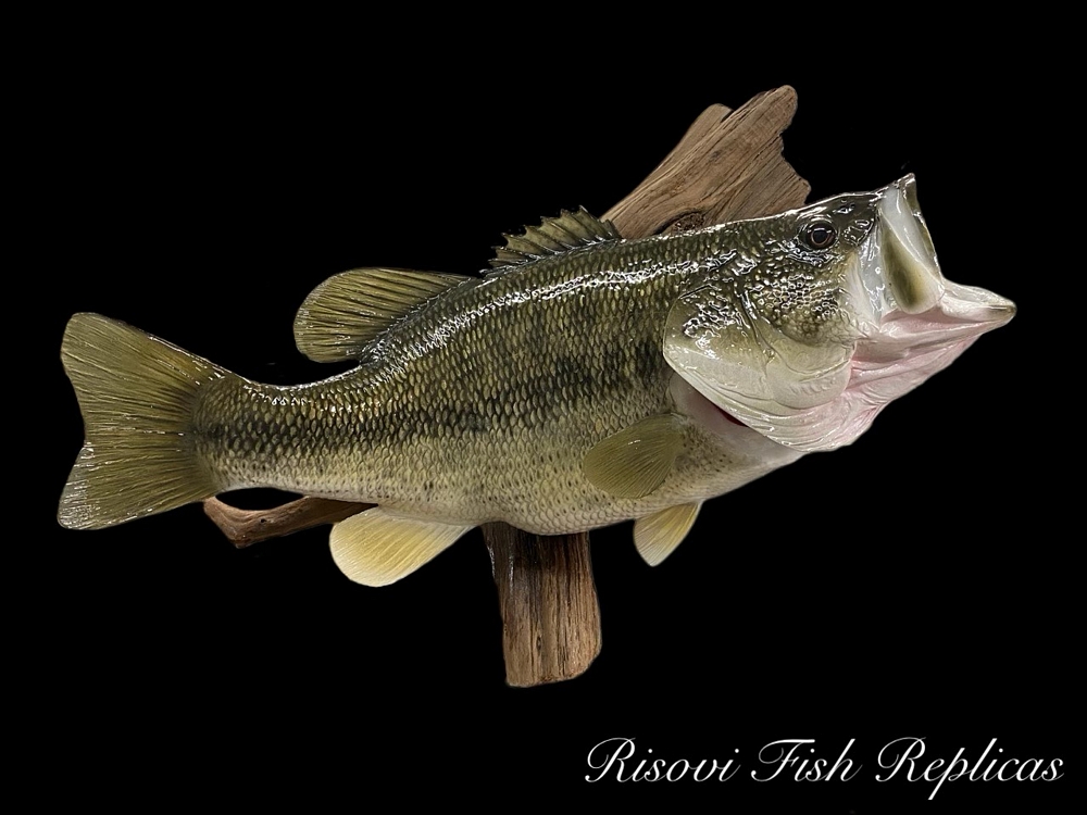 Risovi Taxidermy Studio Gallery | ND Taxidermy | North Dakota Taxidermist