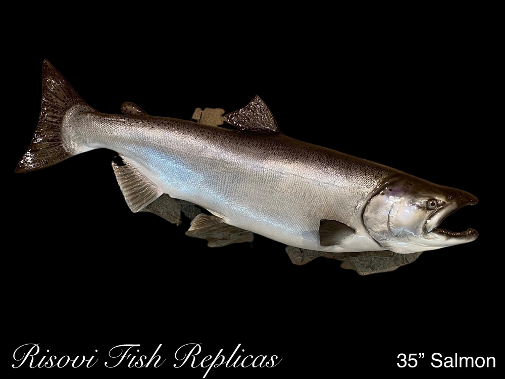 Risovi Taxidermy Studio Gallery | ND Taxidermy | North Dakota Taxidermist