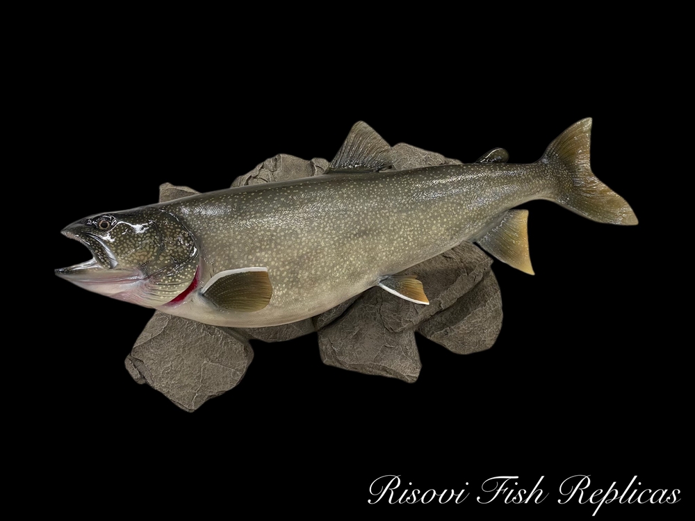 Risovi Taxidermy Studio Gallery | ND Taxidermy | North Dakota Taxidermist