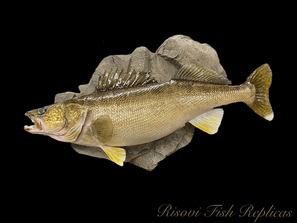 Risovi Taxidermy Studio Gallery | ND Taxidermy | North Dakota Taxidermist