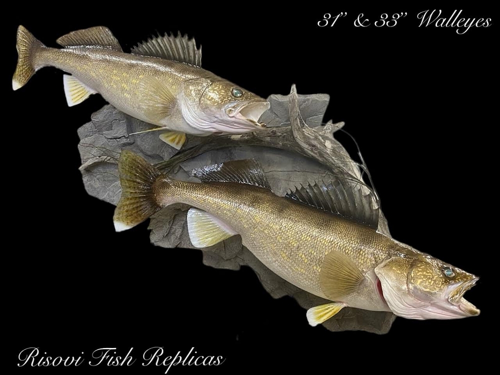 Risovi Taxidermy Studio Gallery | ND Taxidermy | North Dakota Taxidermist