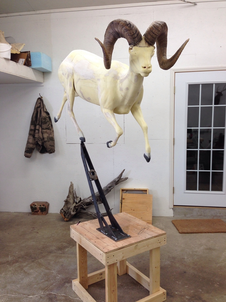 Risovi Taxidermy Studio Hunting Pics | ND Taxidermy | North Dakota ...